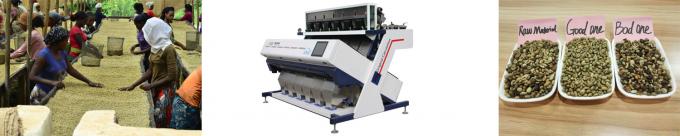 RC8-64X coffee bean optical sorting machine RC8-64X coffee bean optical sorting machine